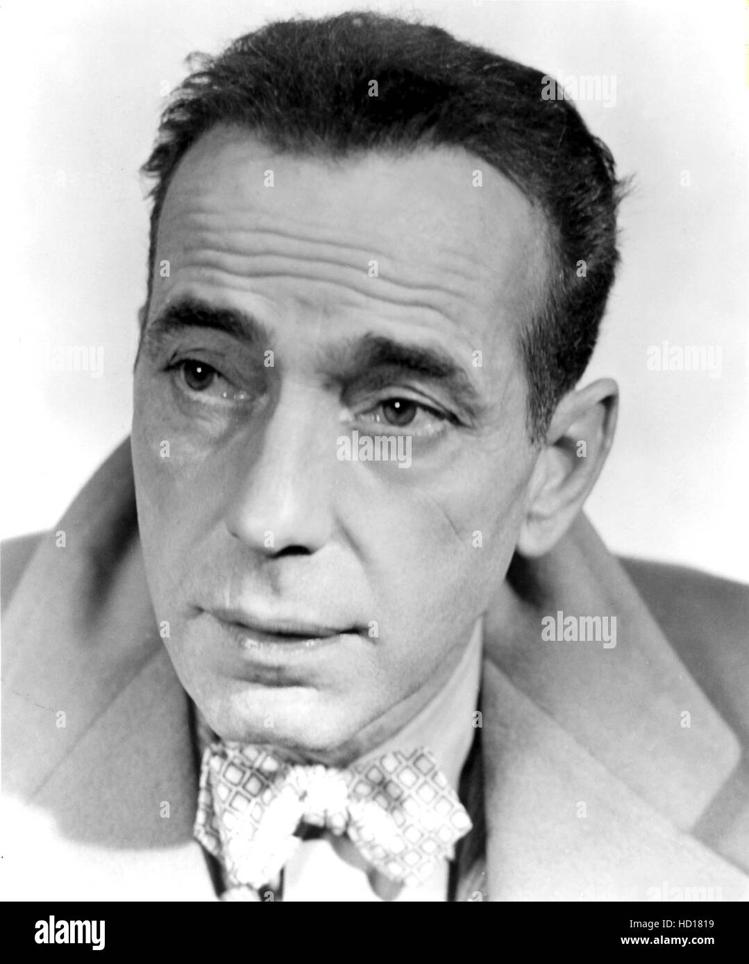 HUMPHREY BOGART, 1951 Stock Photo - Alamy