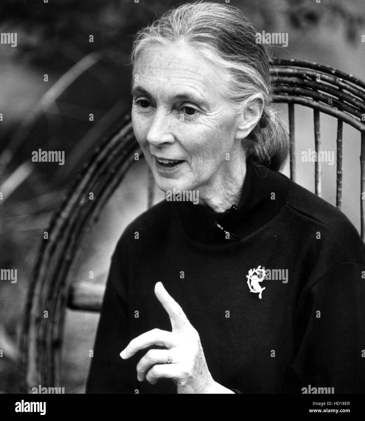 Goodall hi-res stock photography and images - Alamy