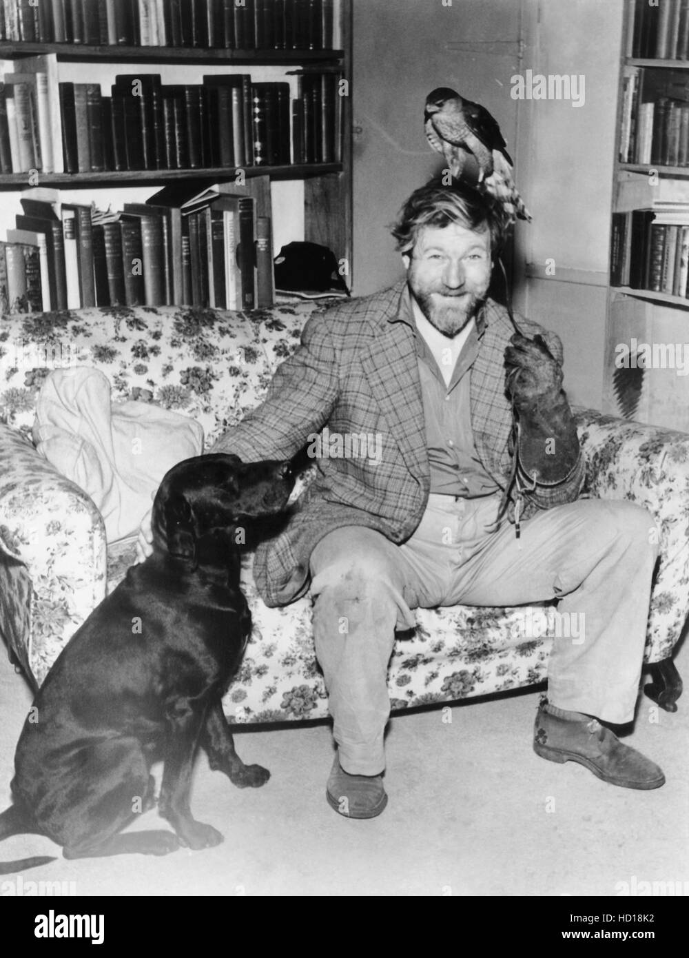 James Robertson Justice, at home with some of his many pets, 1953 Stock ...