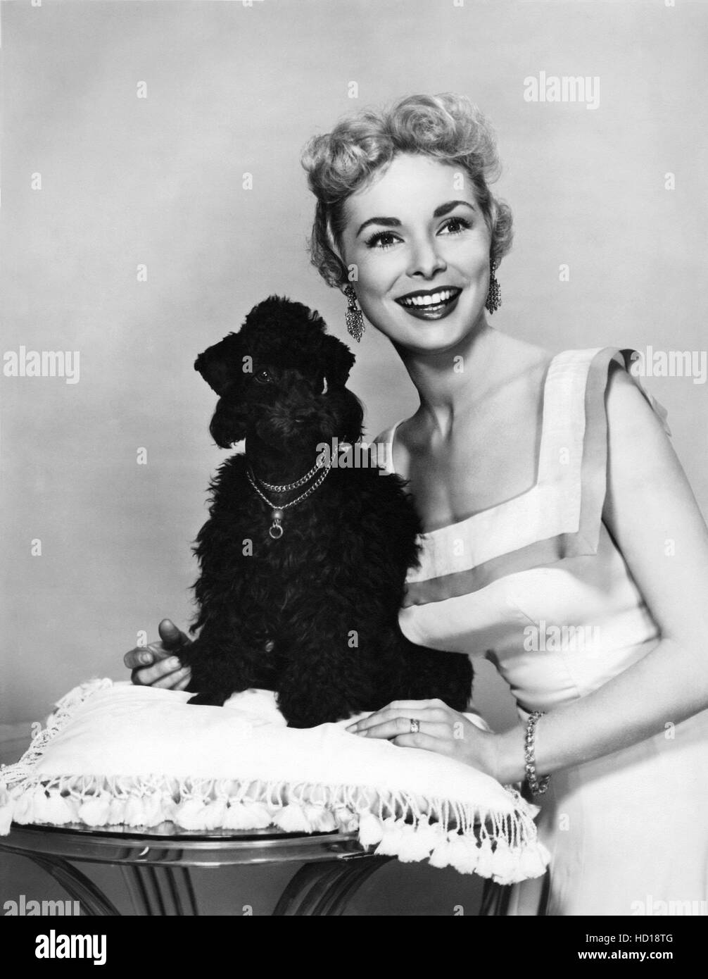 Janet Leigh with poodle, ca. 1950s Stock Photo - Alamy
