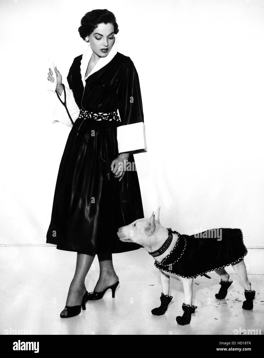 Jarma Lewis, and English bull terrier 'Wildfire,' showing doggie ...