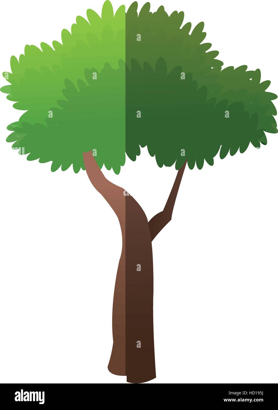 Isolated tree plant design Stock Vector Image & Art - Alamy