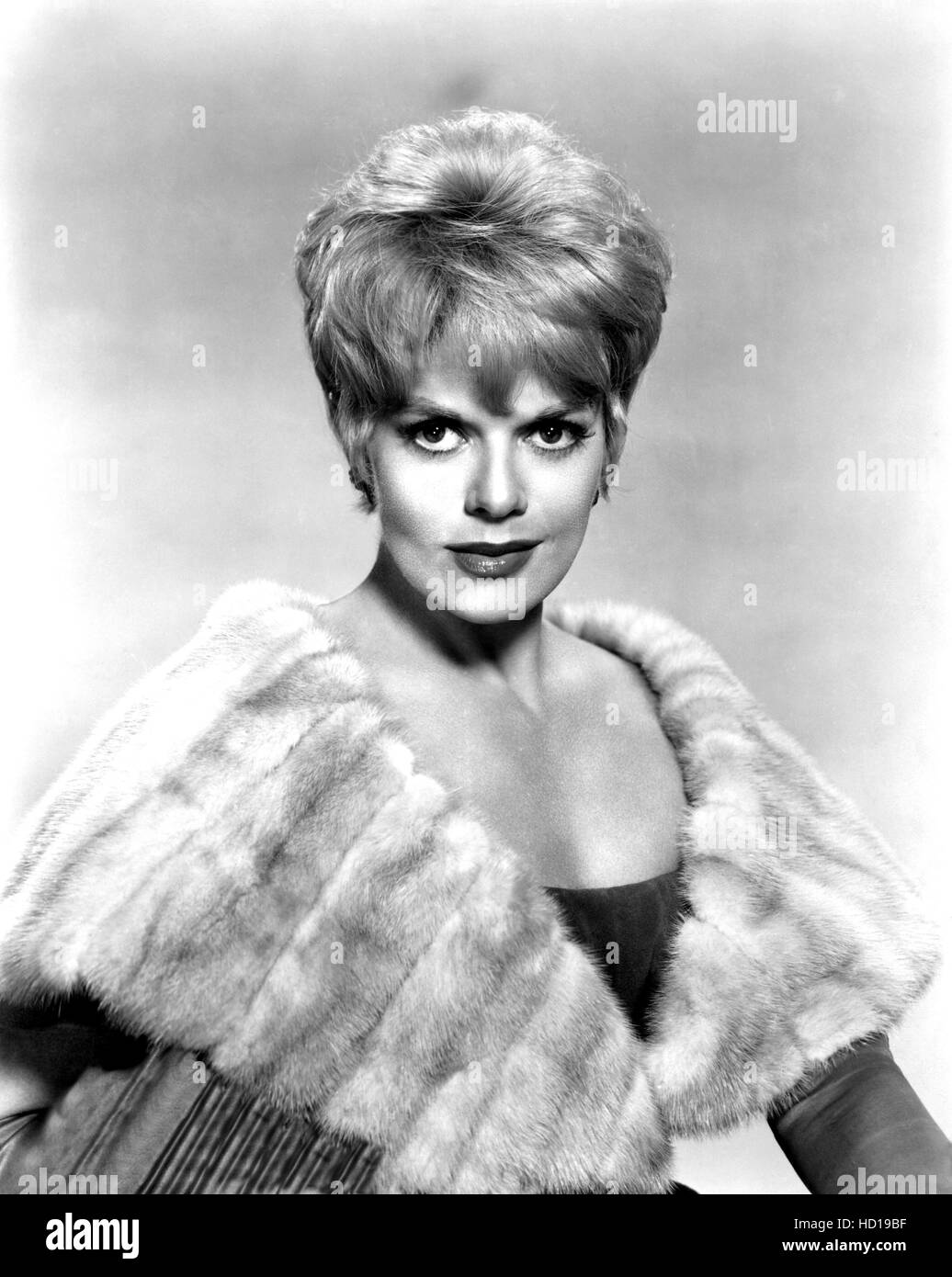 Janis Paige, ca. 1950s Stock Photo - Alamy