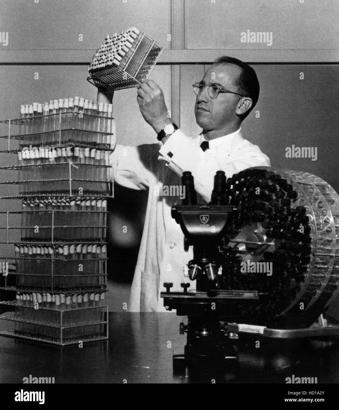 Dr. Jonas Salk works on Polio vaccine in his laboratory in the ...