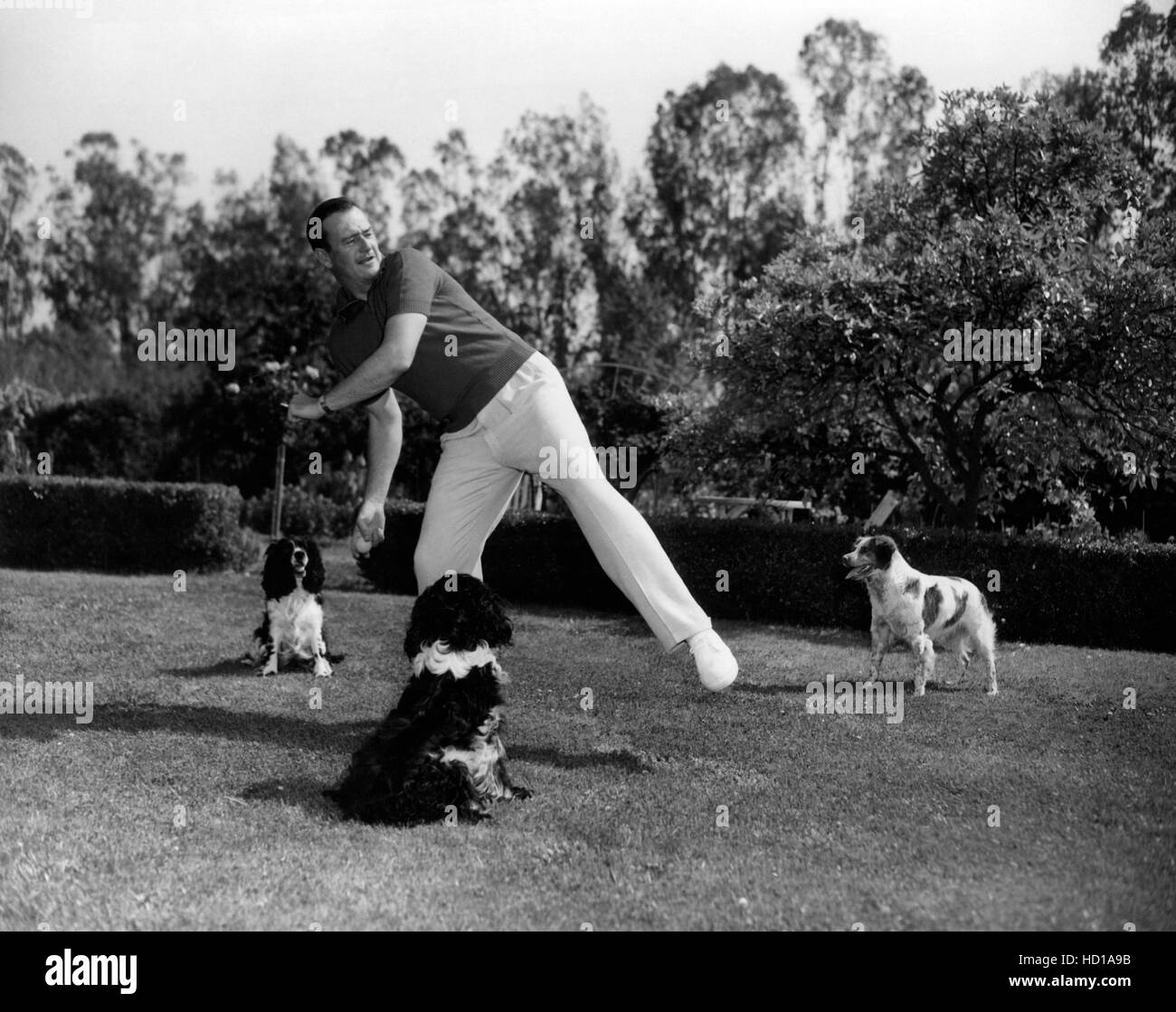 John Wayne plays with his dogs at his San Fernando Valley home, 1952 ...