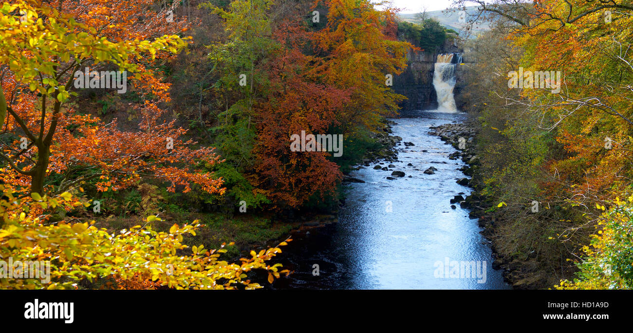 Autumn at High Force Waterfall Co Durham UK Stock Photo - Alamy