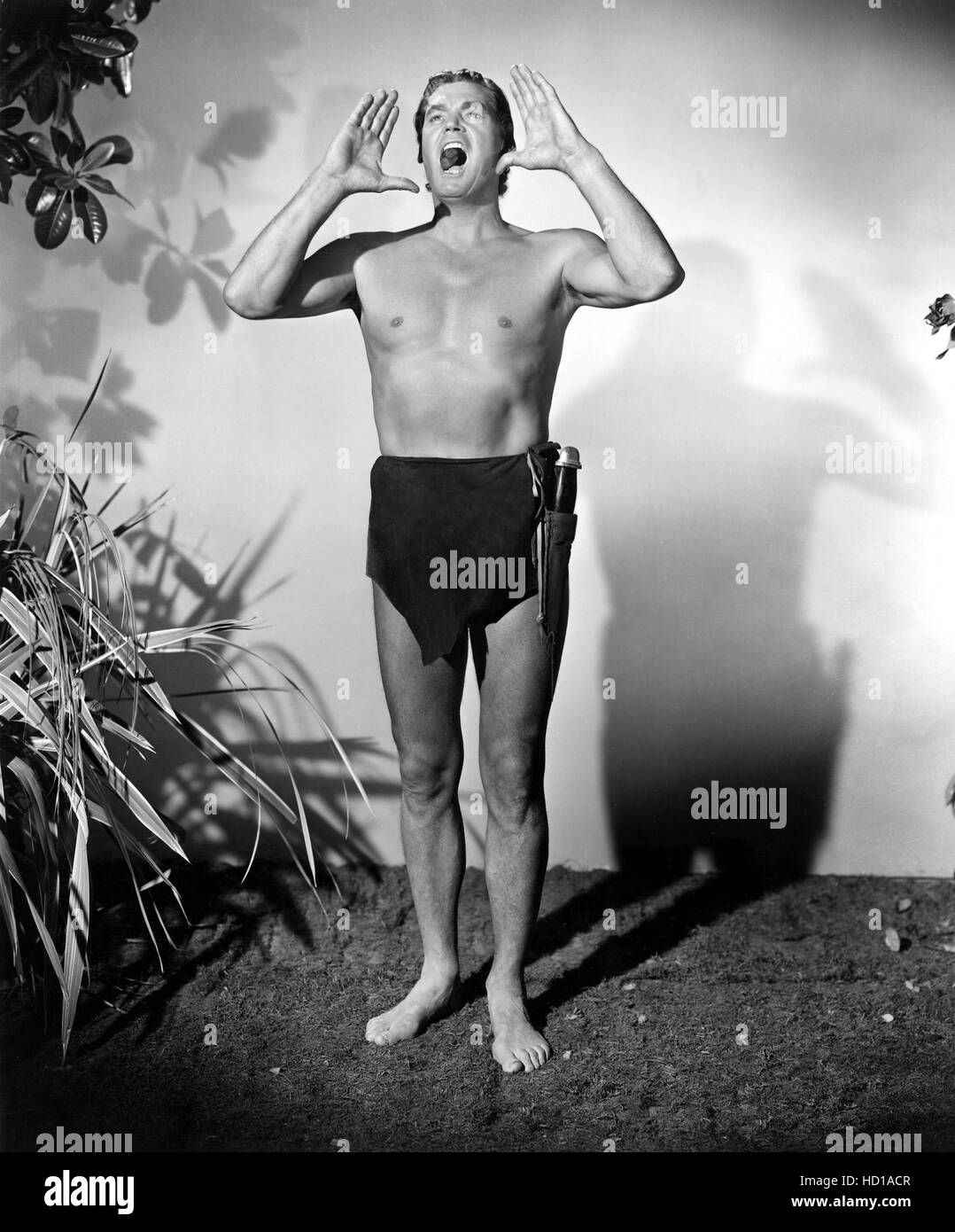 TARZAN, Johnny Weissmuller, c. 1940 Stock Photo - Alamy