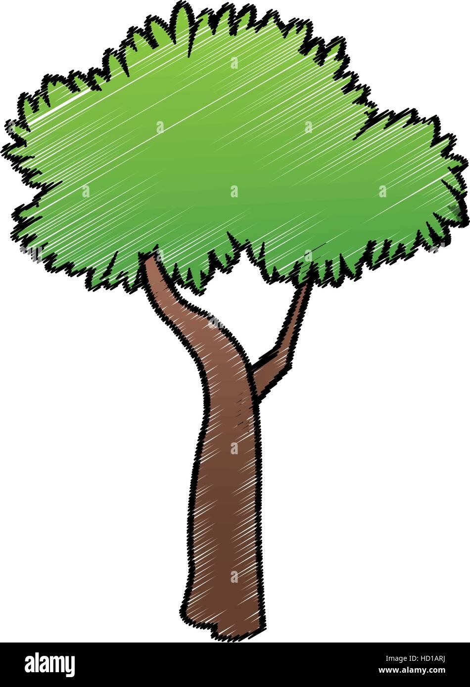 Isolated tree plant design Stock Vector Image & Art - Alamy