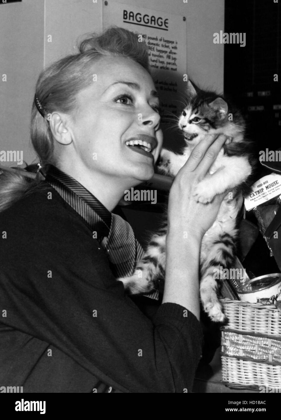 June Havoc with pet cat, 1949 Stock Photo - Alamy