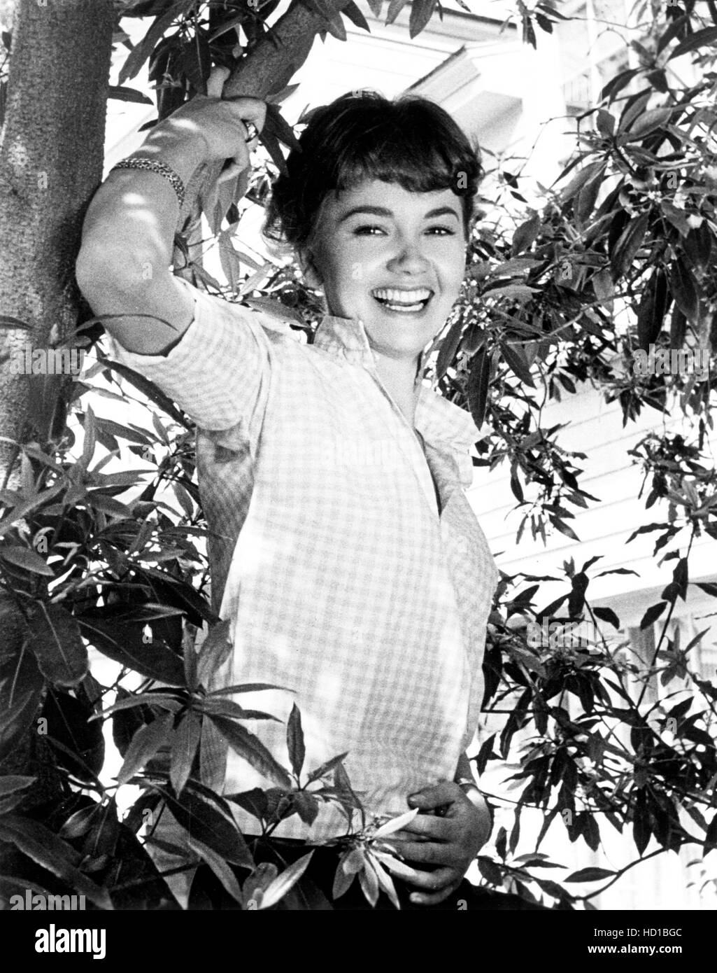 Lisolette Pulver, (aka Lilo Pulver), 1958 Stock Photo - Alamy