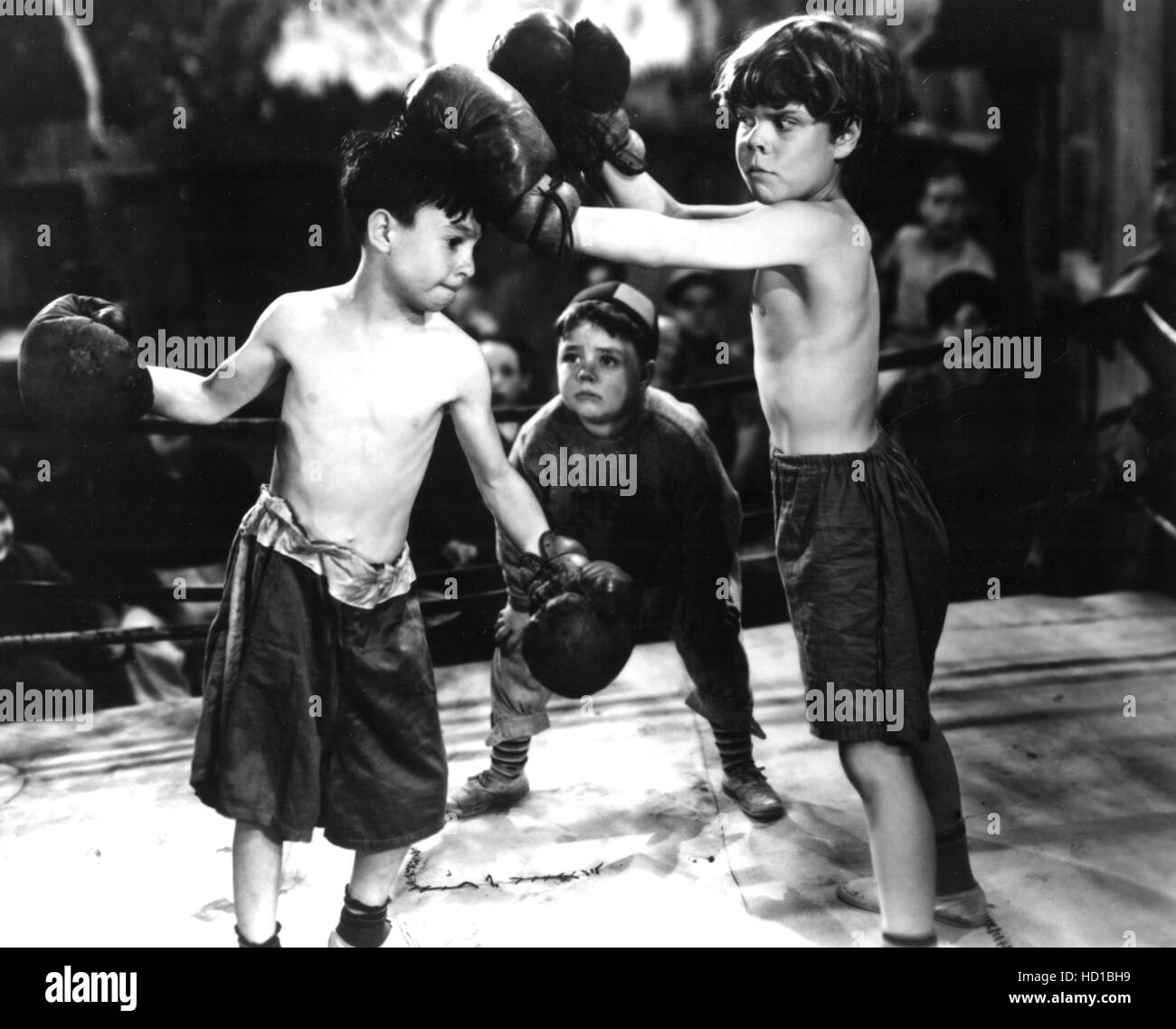THE LITTLE RASCALS/OUR GANG COMEDIES, Spanky McFarland, Alfalfa Switzer ...