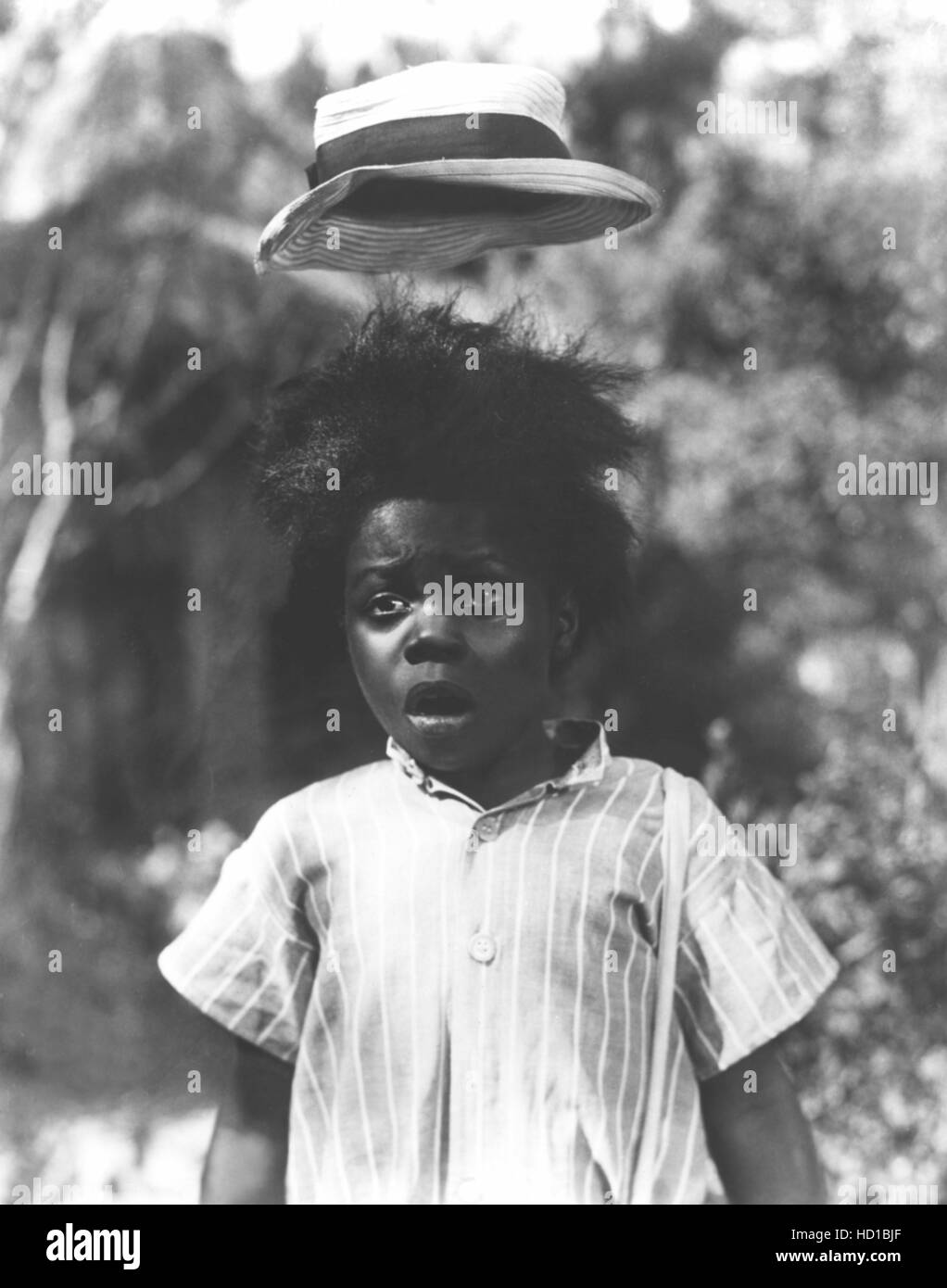 Ross Bagley Little Rascals