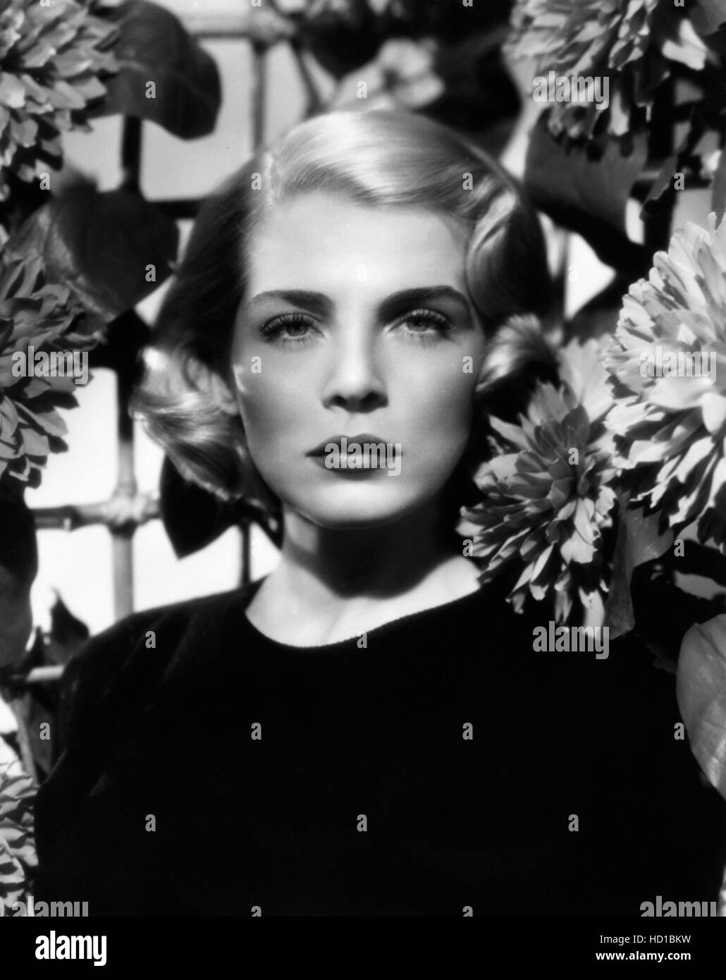 Lizabeth Scott, 1940s Stock Photo - Alamy