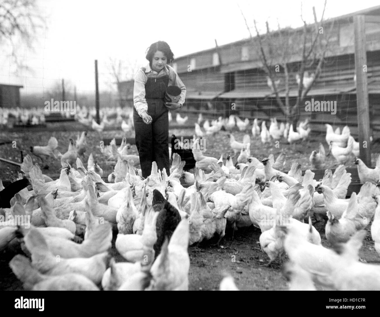 MGM starlet Louise Lorraine, who also owns a chicken farm in the San ...