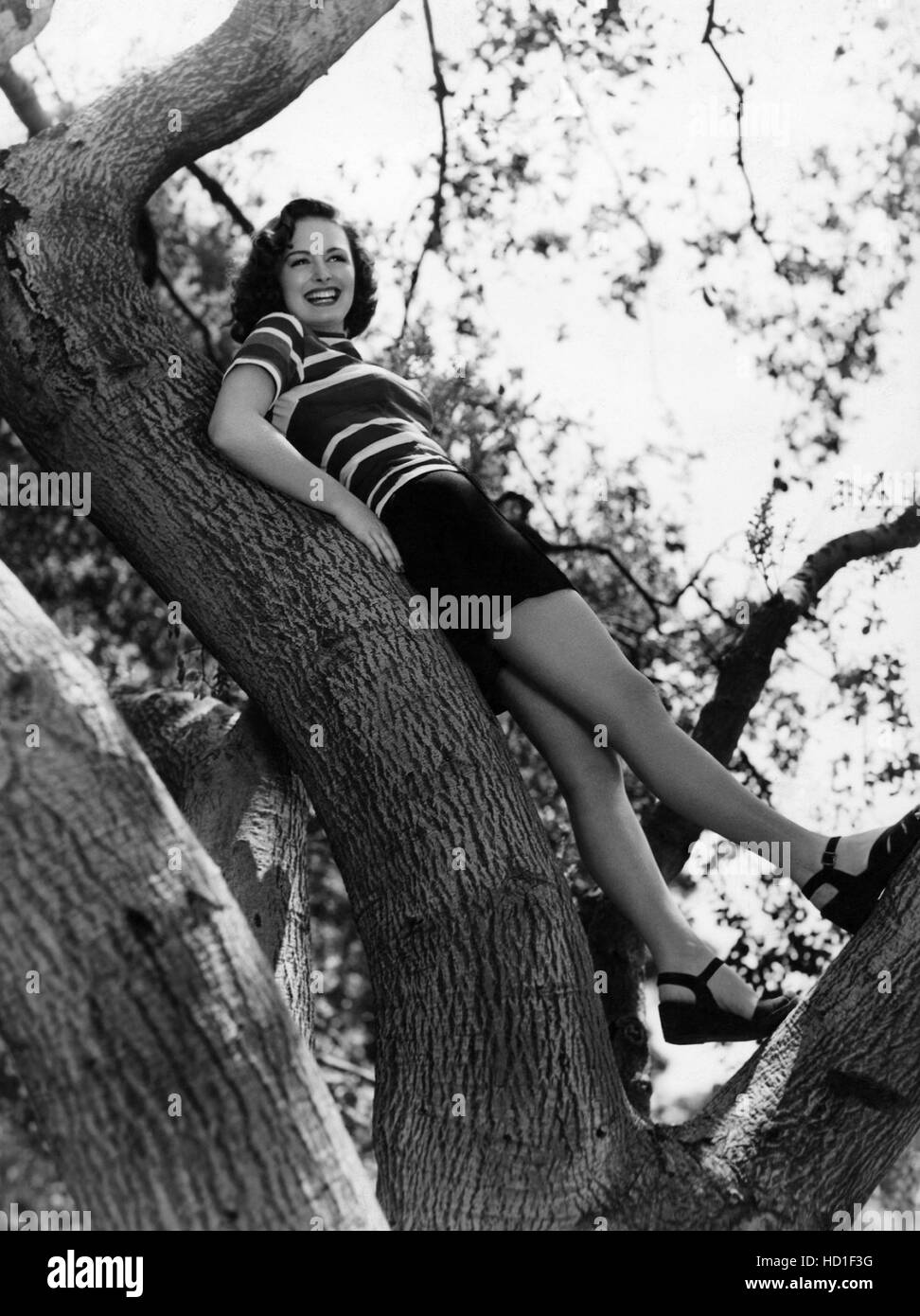 Donna Reed, MGM portrait, 1944 Stock Photo - Alamy