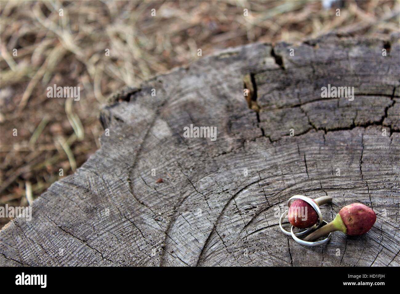 Russian wedding ring hi-res stock photography and images - Alamy