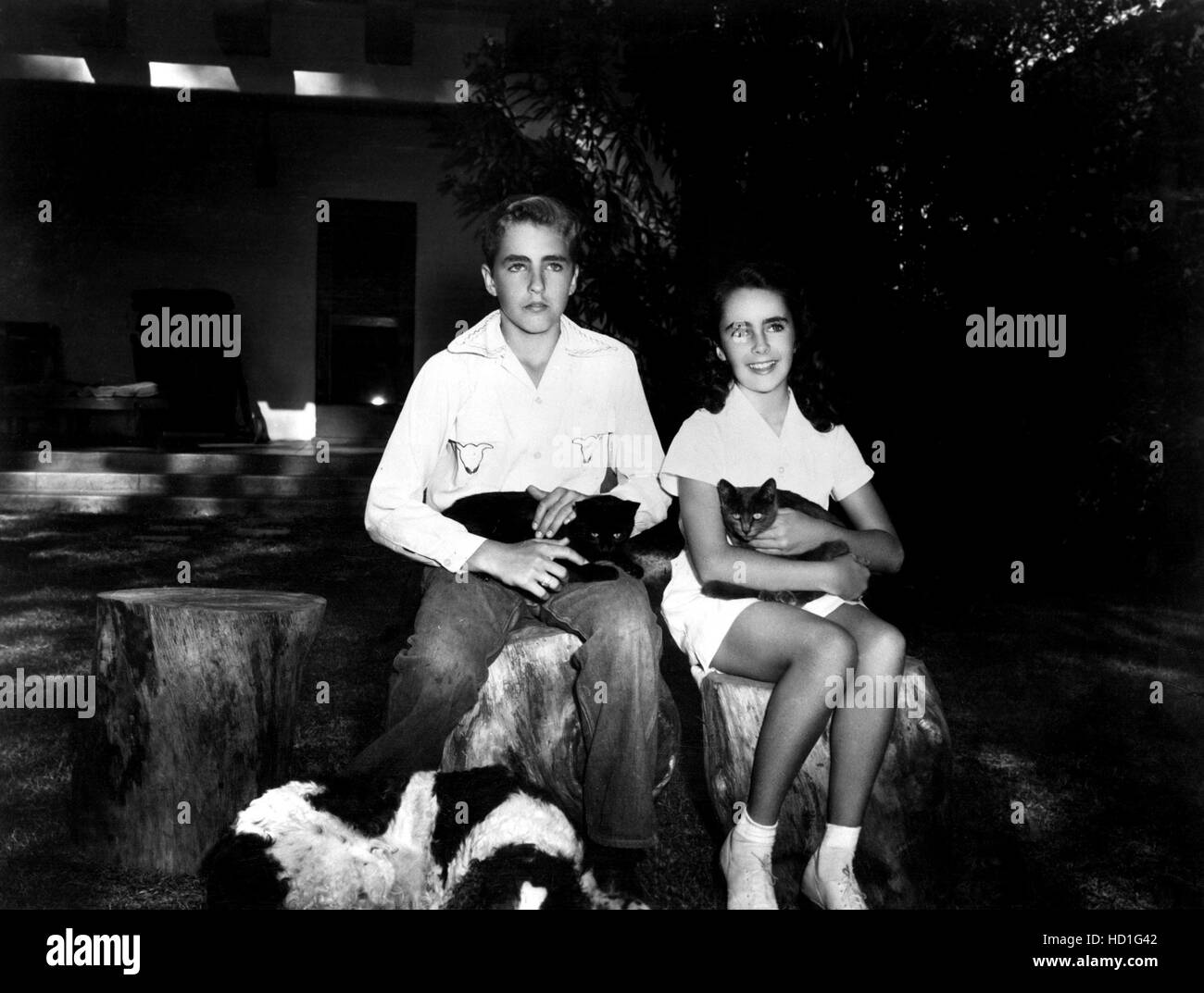 Howard Taylor, Elizabeth Taylor at home with their pet cats and dog ...