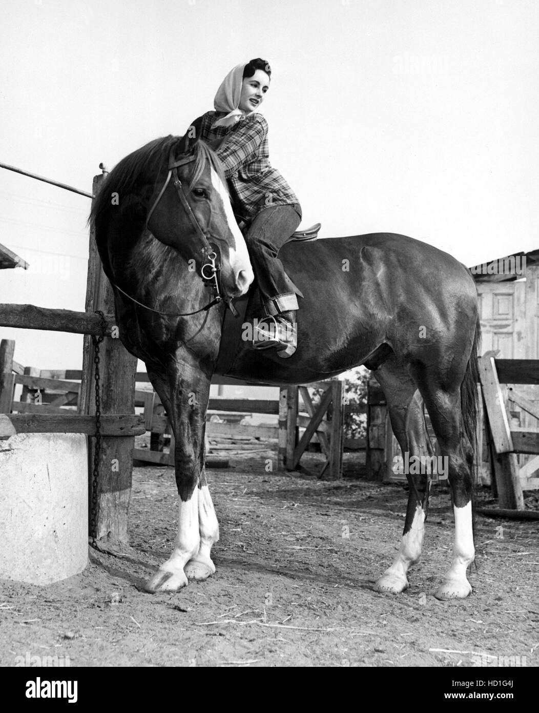 Elizabeth Taylor at home with her horse King Charles who played Pi in ...