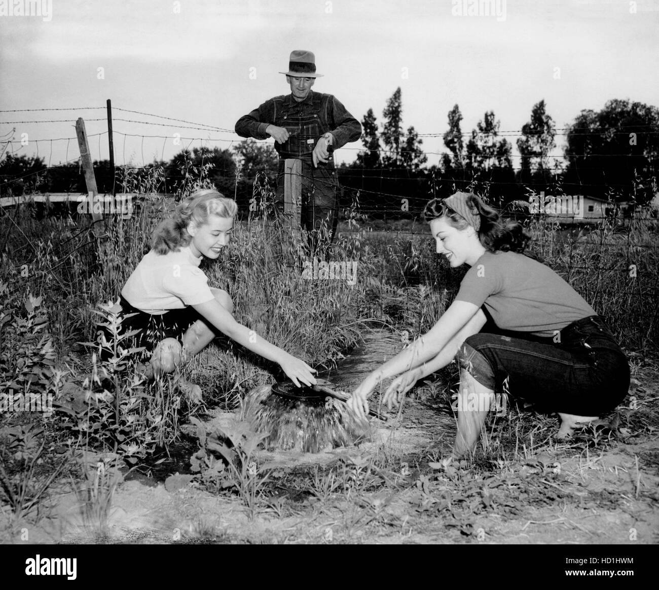 MGM starlets Gloria DeHaven, Ava Gardner, working on their Victory ...