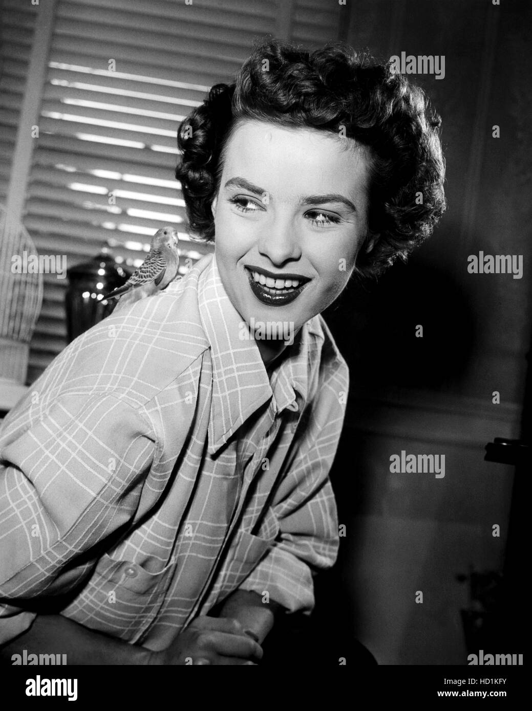 Jean Peters, with her pet parakeet, Ch-Chi, 1949 Stock Photo - Alamy