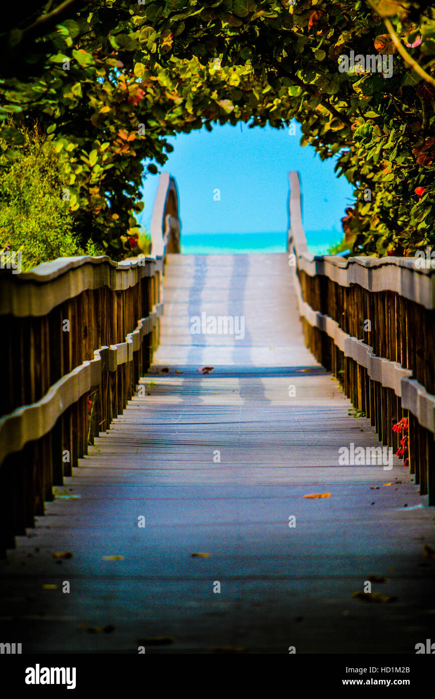Bushes over walkway lead to the beach of the Gulf of Mexico Stock Photo ...