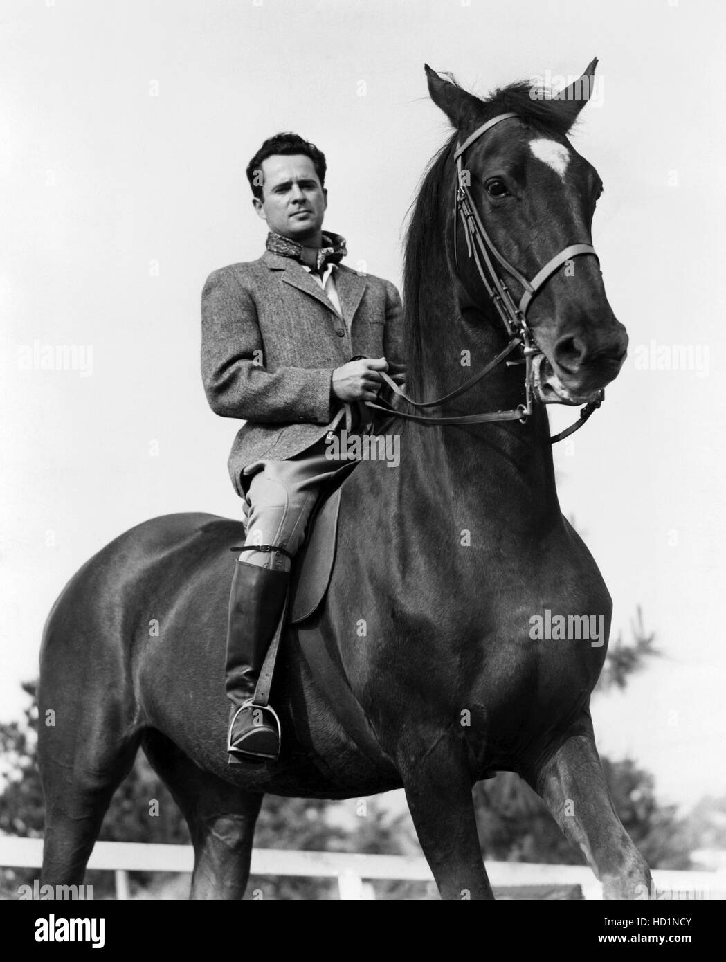 Larry Parks riding his horse, Deputy Dare, along bridle trail in ...