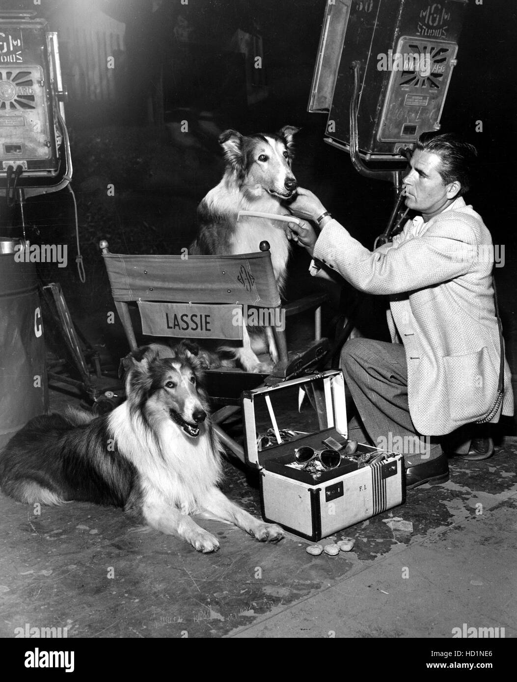Lassie gets combed by trainer Rudd Weatherwax as Laddie (Lassie's stand ...