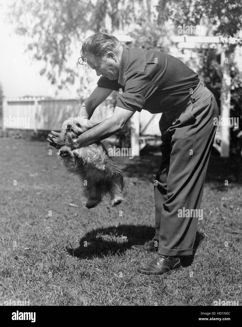 Lassie's trainer Frank Weatherwax trains Shortie in the art of trick ...