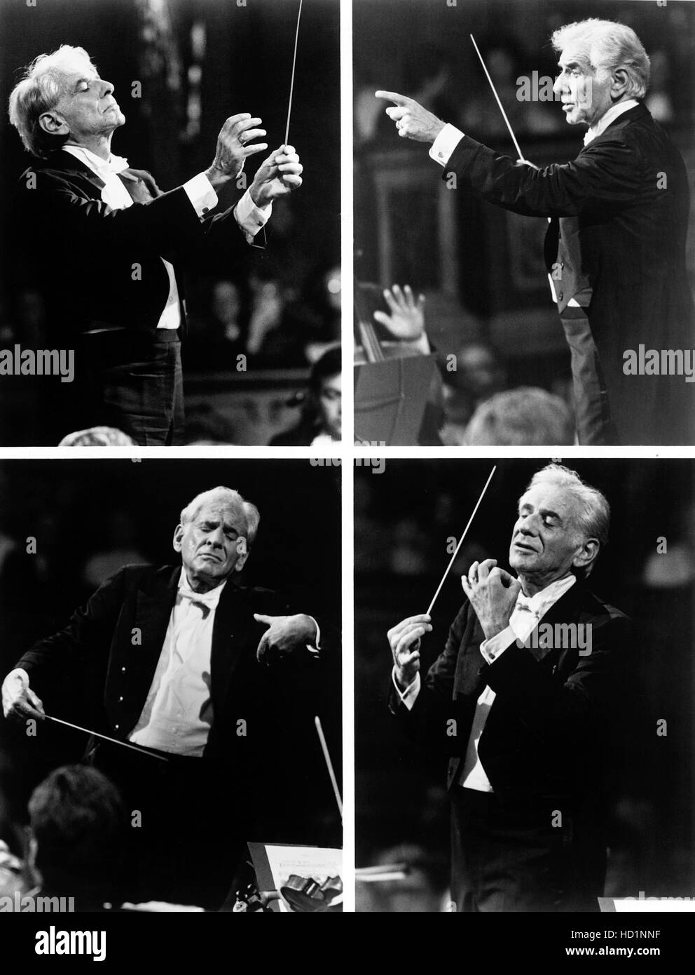LEONARD BERNSTEIN, conducting the Vienna Philharmonic, during the ...