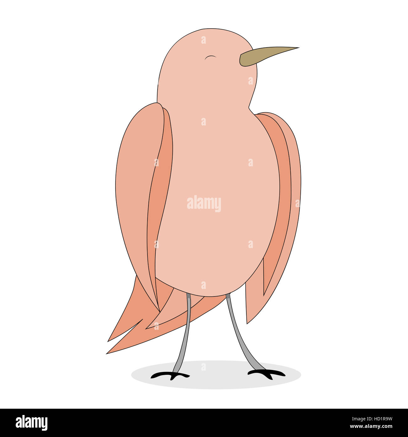 Nightingale bird vector. Cartoon animal mascot isolated illustration ...