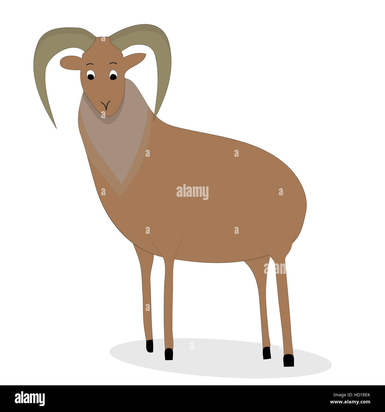 Urial sheep hi-res stock photography and images - Alamy