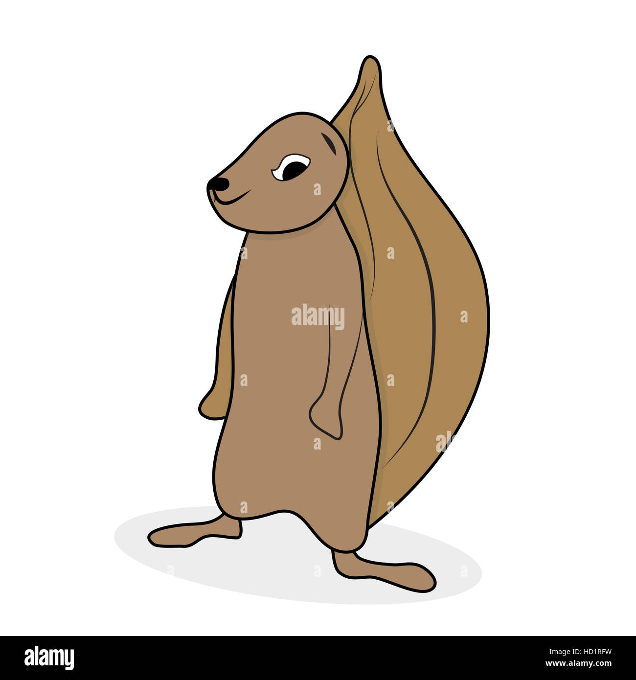 Squirrel cartoon hi-res stock photography and images - Alamy