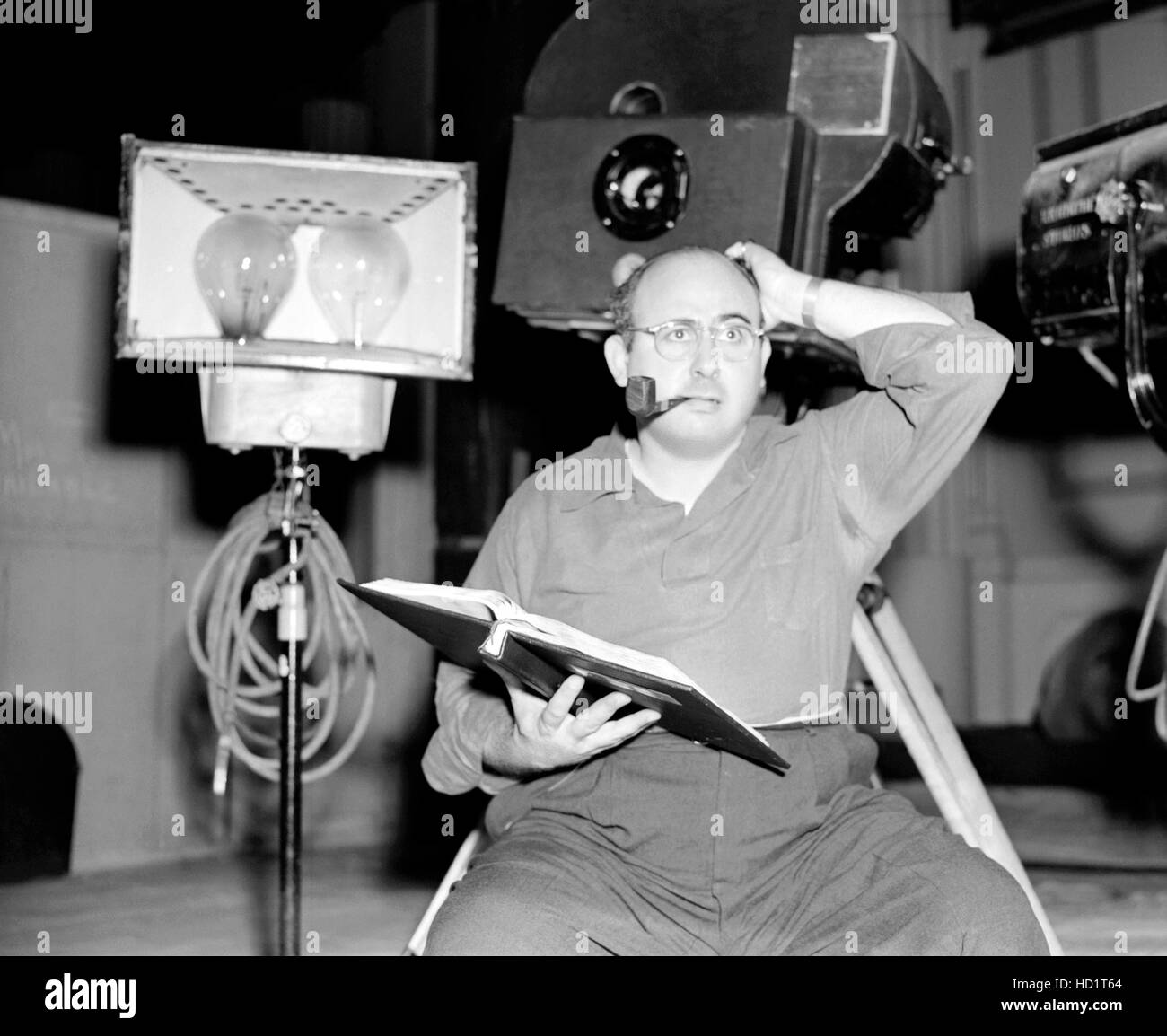 Taurog hi-res stock photography and images - Alamy
