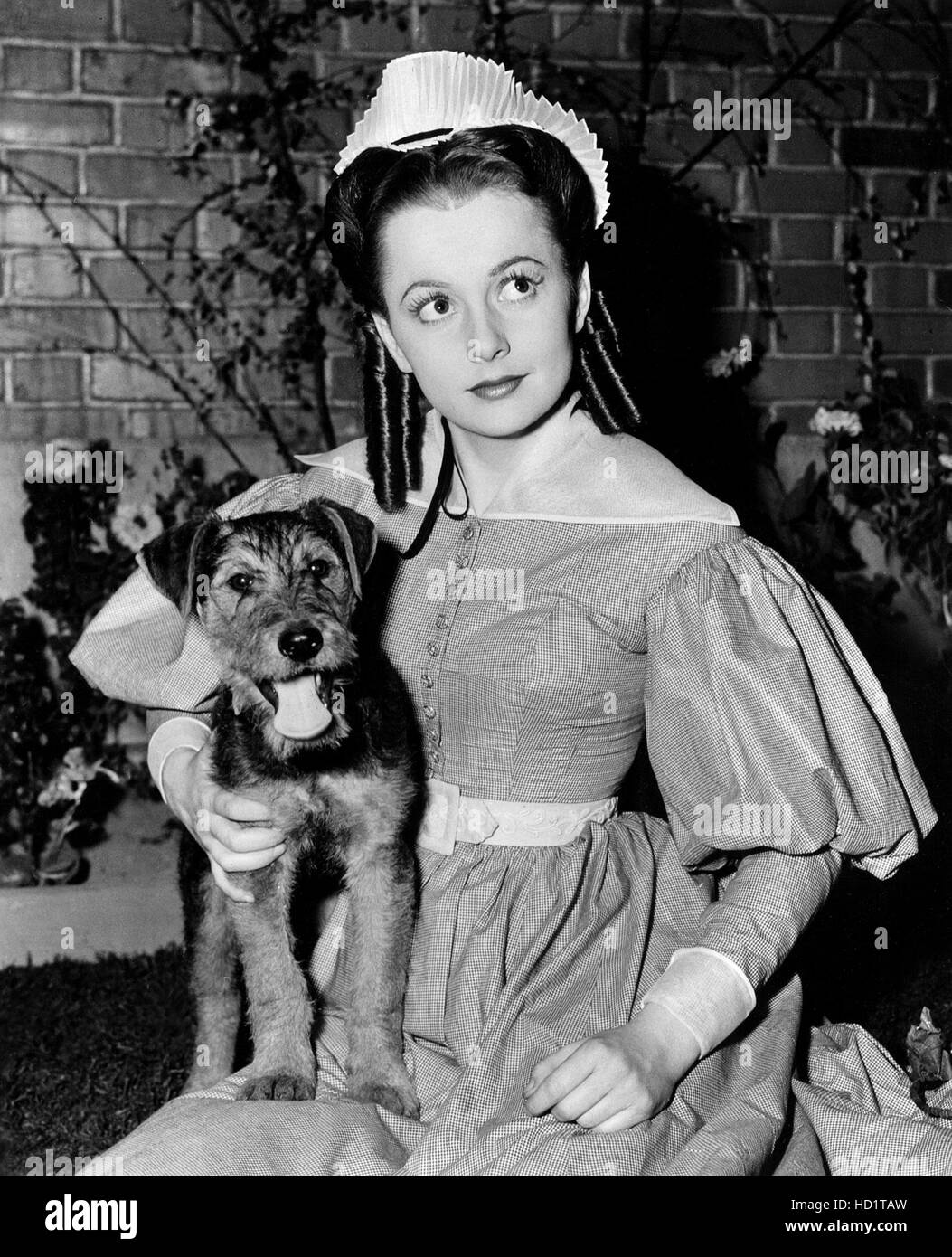 Olivia De Havilland and her dog Shadrack on the set of DEVOTION, 3/15 ...