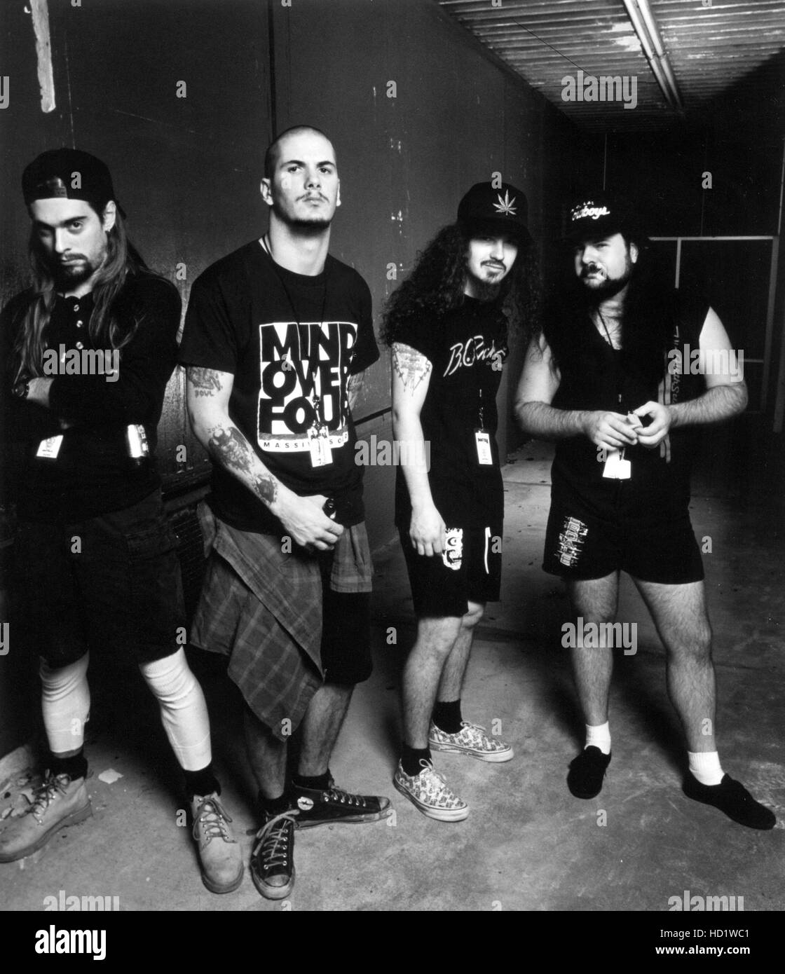 Rex rocker High Resolution Stock Photography and Images - Alamy