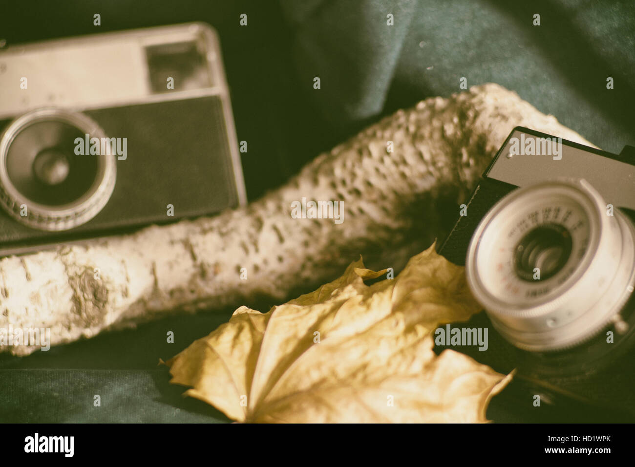 vintage cameras still life Stock Photo - Alamy vintage cameras still life Stock Photo - Alamy