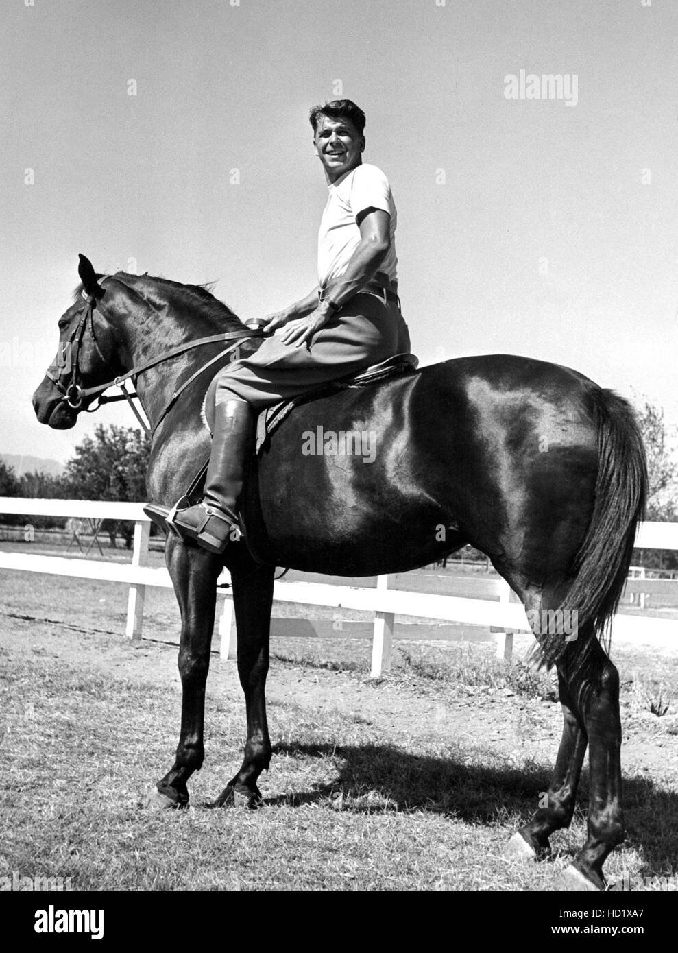 Ronald Reagan on horseback, 1950 Stock Photo - Alamy