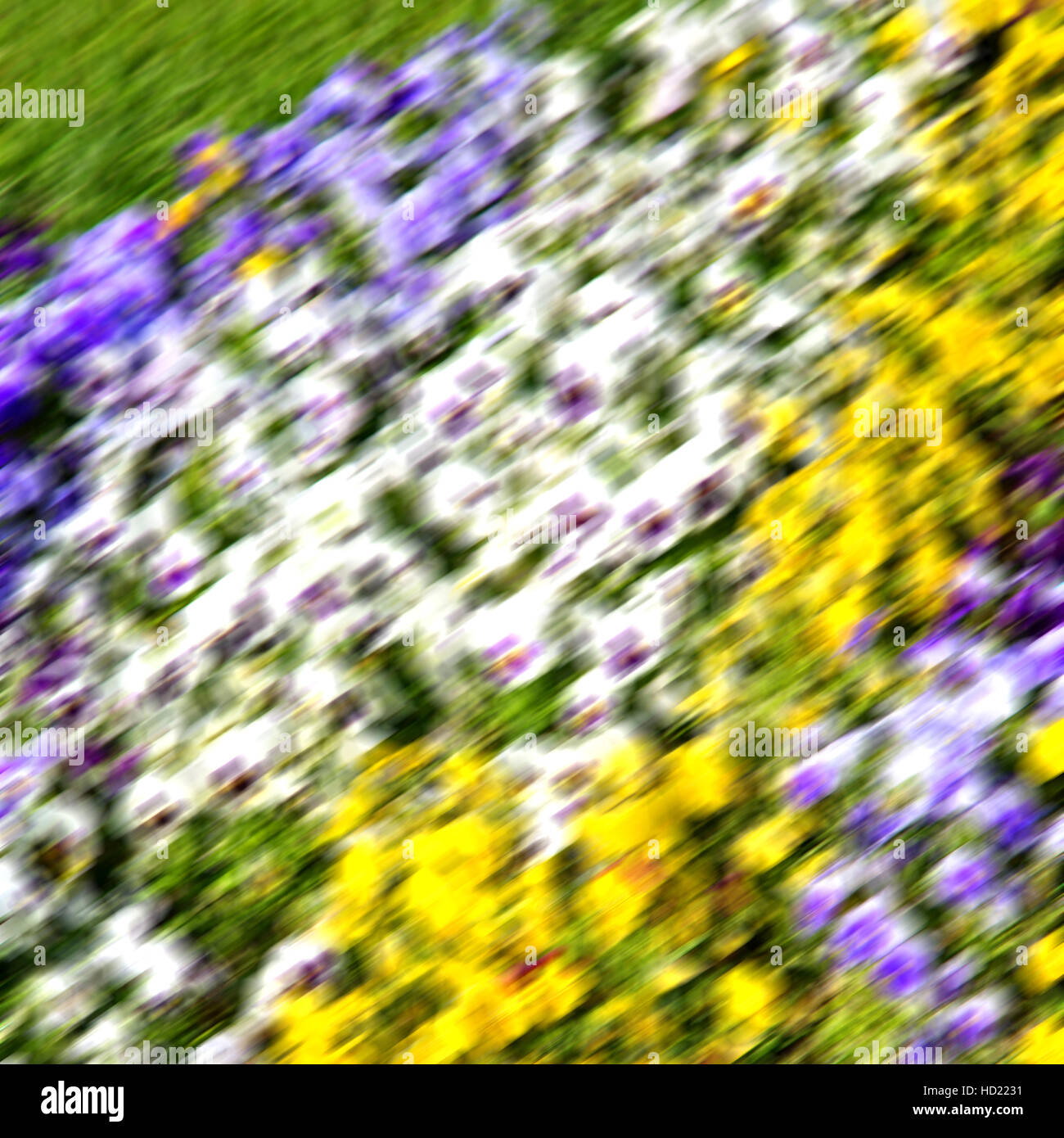 blur in the spring colors flowers and garden Stock Photo - Alamy