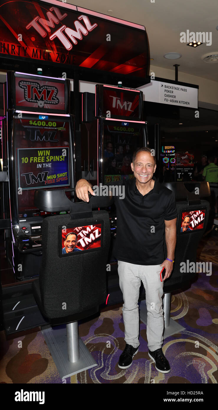 TMZ Executive Producer Harvey Levin With Special Guest Tara Reid Attend ...