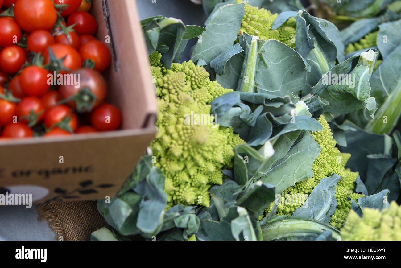 Paul Hollywood presents a baking demonstration at the BBC Good Food ...
