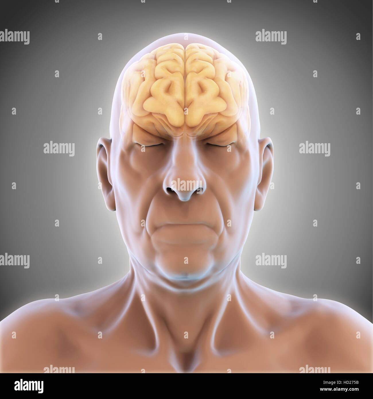 Dementia brain hi-res stock photography and images - Alamy