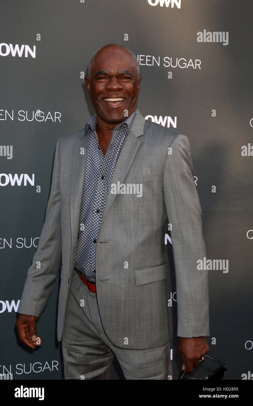 'Queen Sugar' premiere screening held at the Warner Brothers Studios ...