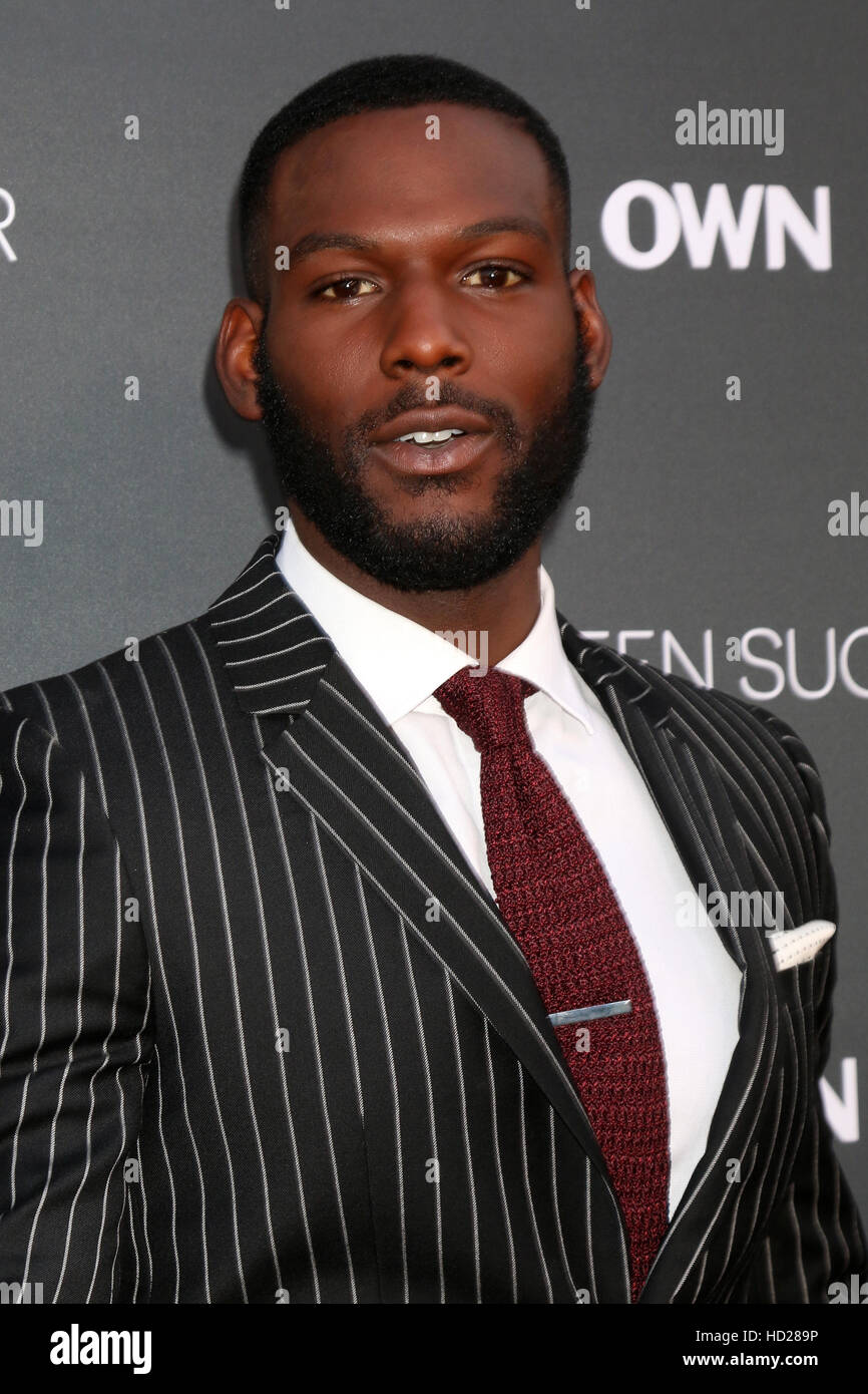 'Queen Sugar' premiere screening held at the Warner Brothers Studios ...