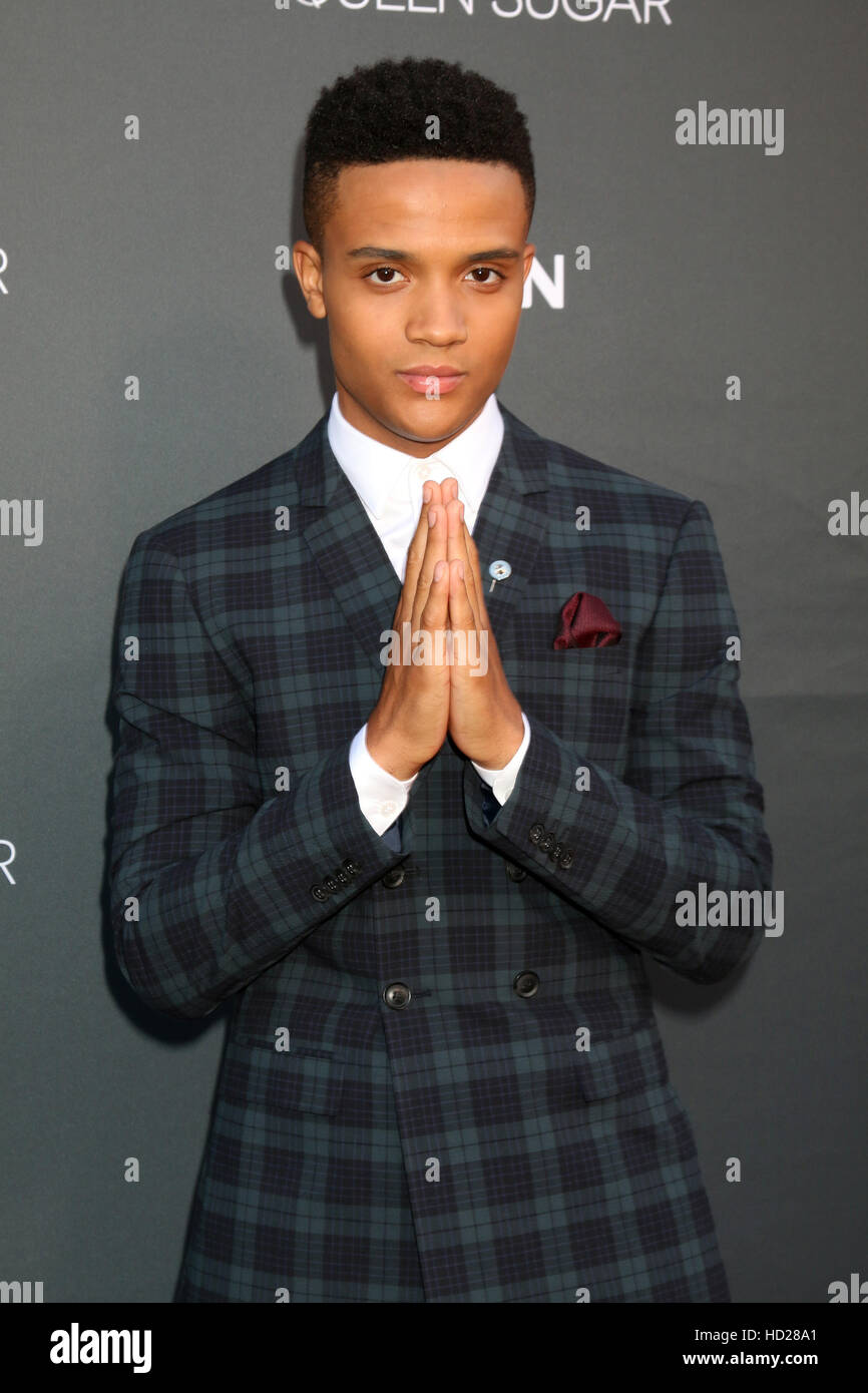 'Queen Sugar' premiere screening held at the Warner Brothers Studios ...