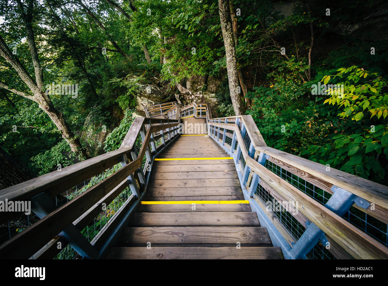 Stairways at Chimney Rock State Park, North Carolina Stock Photo - Alamy