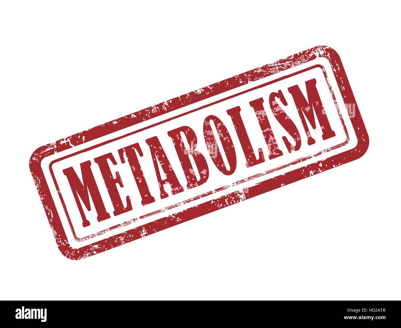 Normal Bone Metabolism Basic Science Orthobullets