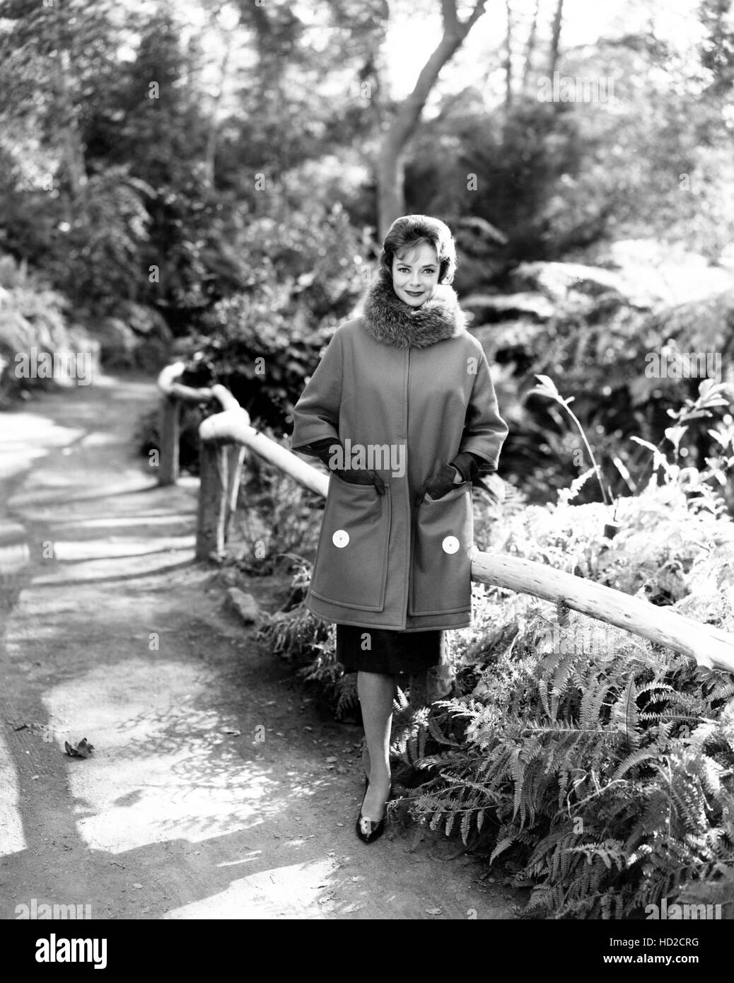 June Lockhart, ca. 1960 Stock Photo - Alamy