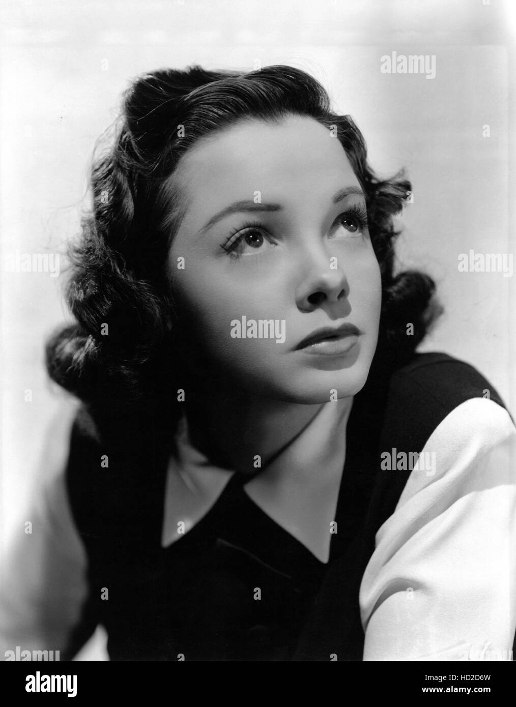 Kathryn Grayson, 1940. Photograph by Clarence Sinclair Bull Stock Photo ...