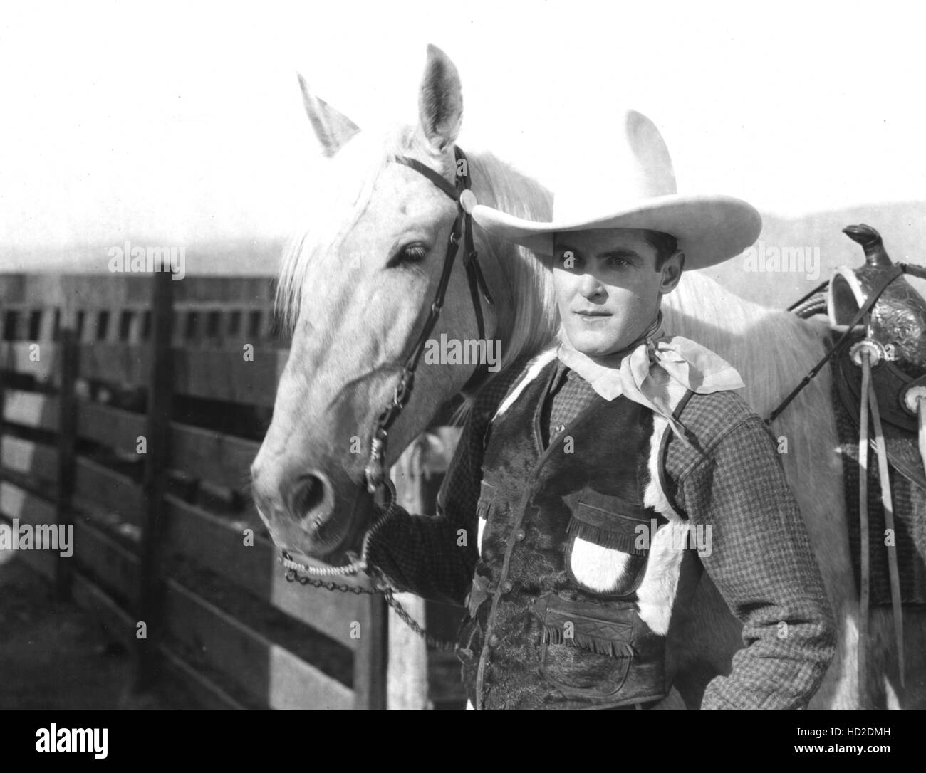 Tarzan horse hi-res stock photography and images - Alamy