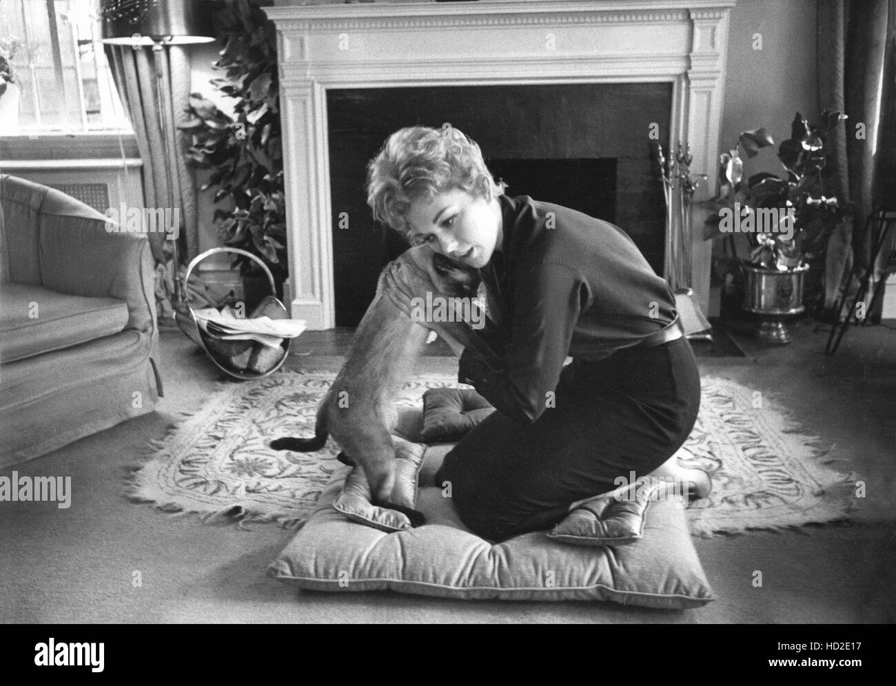 Kim Novak at home with her Siamese cat, 1959 Stock Photo - Alamy